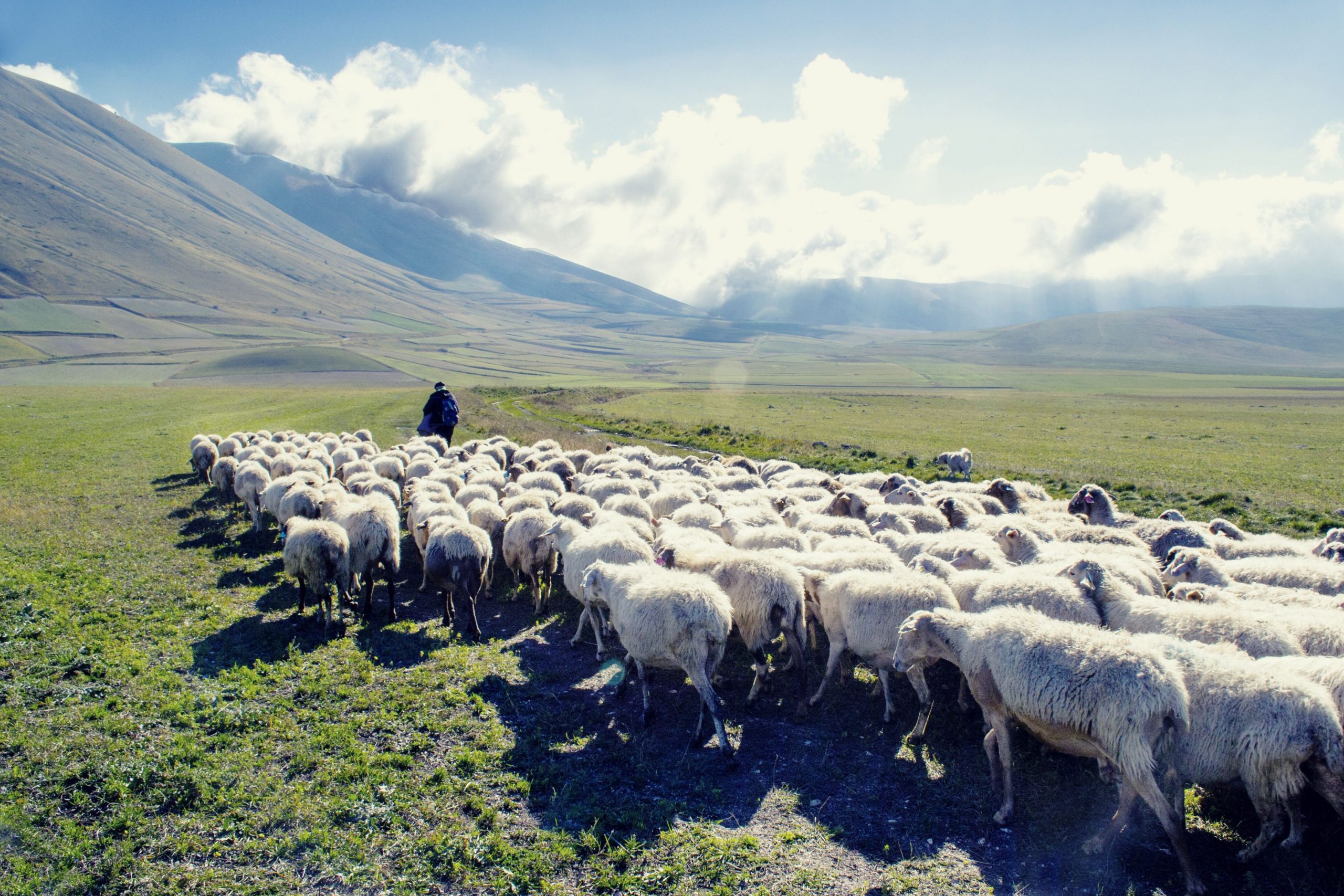 125: 10 Key Ideas for Pastoral Leadership in Missions - Global Missions ...